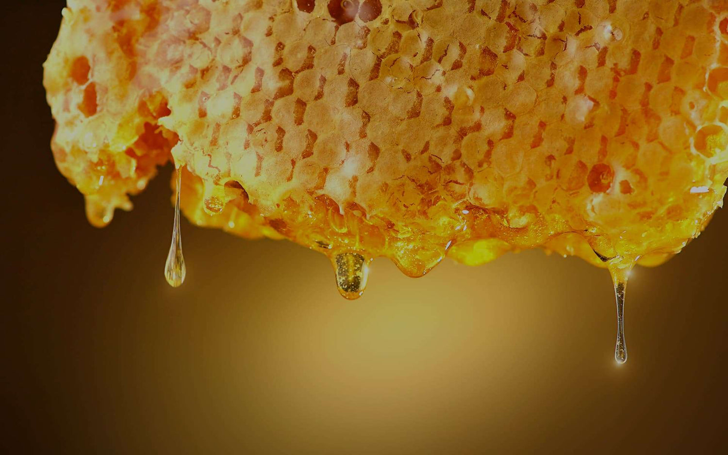 GoHoney – Go Honey